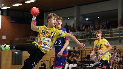 U17-Löwen rupfen die Filder-Falken - Die Junglöwen